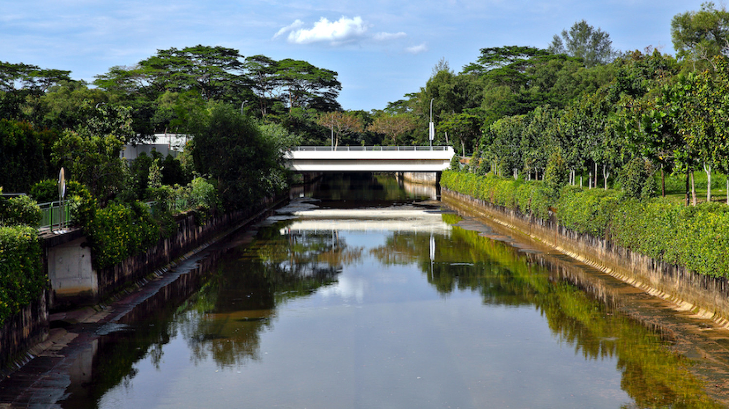 Home buyers’ sentiments remain positive despite latest cooling measures ...