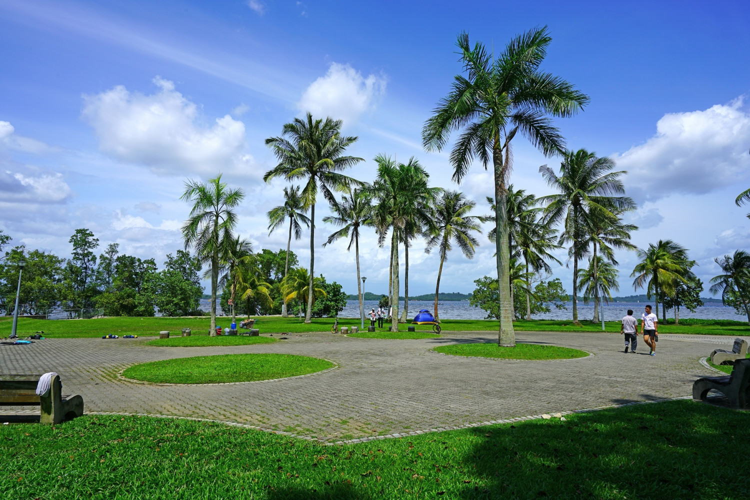 Pasir Ris, a town close to nature and the sea