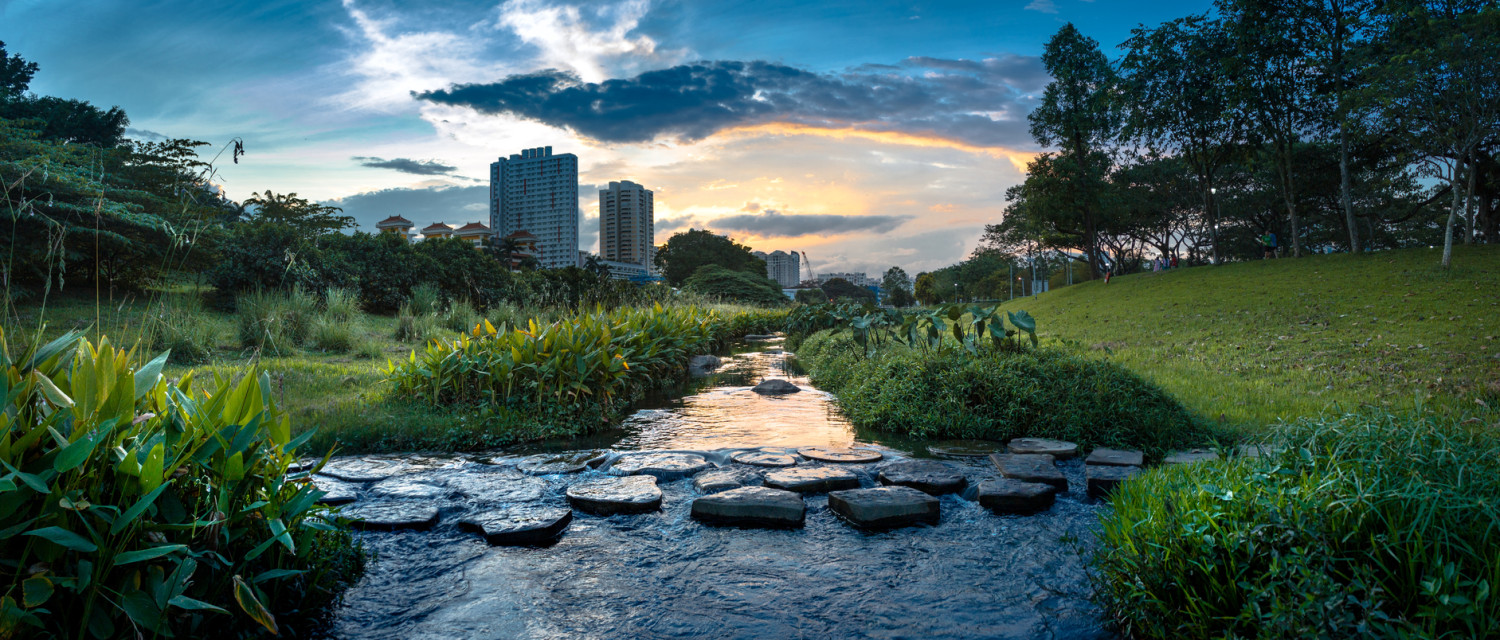 A lowdown on Bishan lifestyle [Local Guide]
